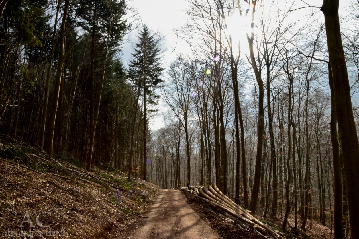 Rundwanderweg 4 am Donnersberg - eine aussichtsreiche Sache | Aktiv ...
